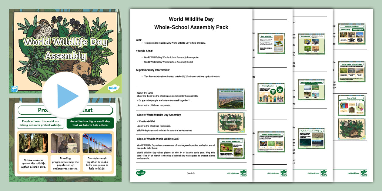 World Wildlife Day Assembly Pack | Twinkl | Eco-Adventurers