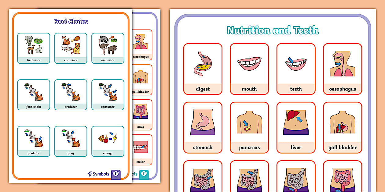 Twinkl Symbols: Science: Year 4: Vocabulary Mat - Twinkl