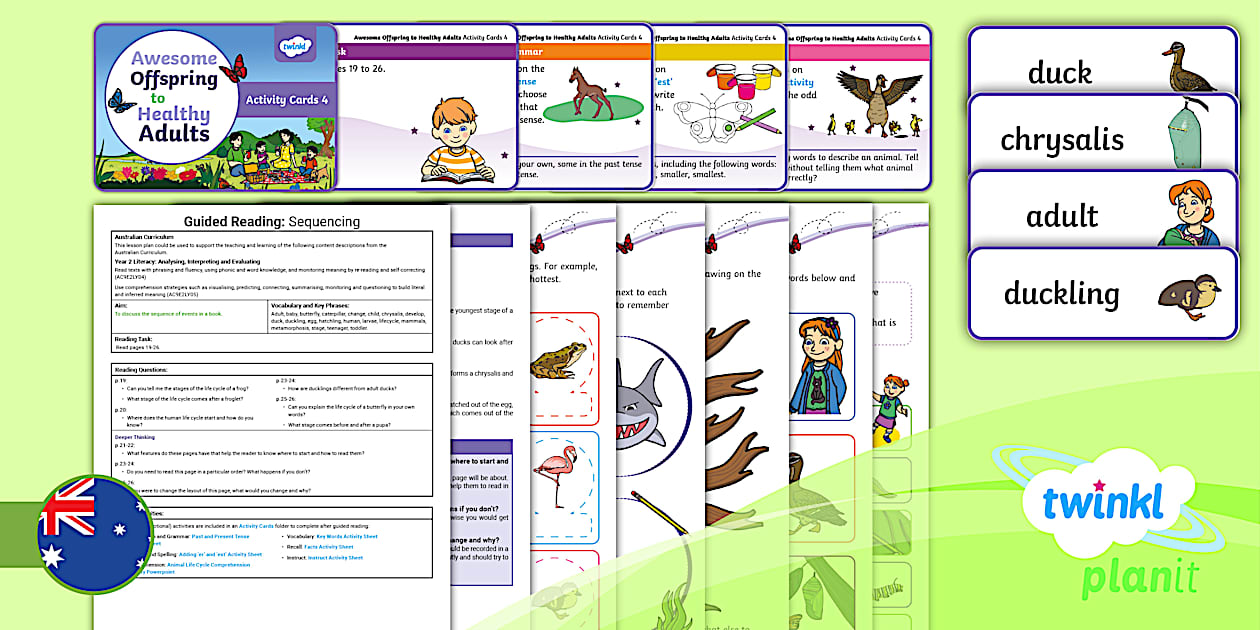 Year 2 Living Things: Guided Reading Session 4 - Twinkl