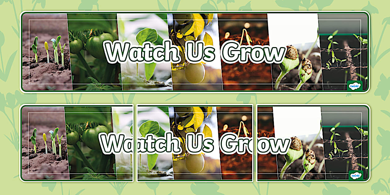 Watch Us Grow Photo Display Banner (teacher made) - Twinkl