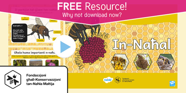 FREE! - KNM l Preżentazzjoni: In-Naħal - Twinkl