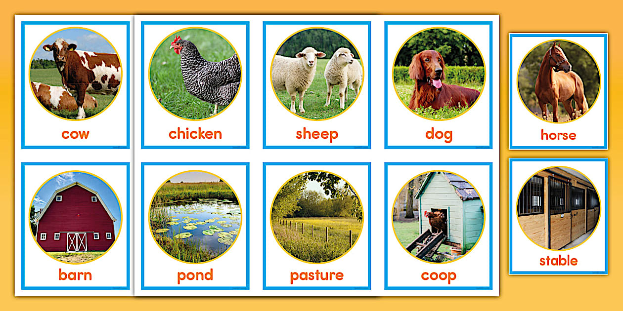 Fun Farm Animal Matching Game for PreK | Twinkl USA - Twinkl
