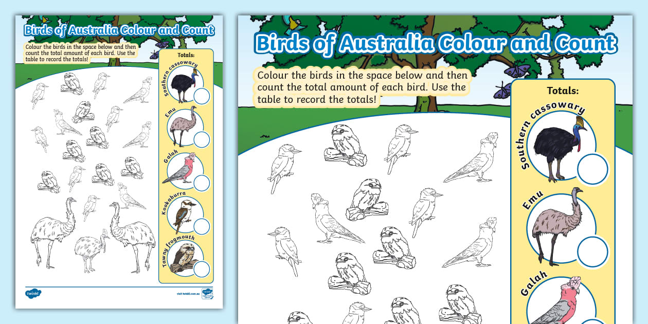 Birds of Australia Colour and Count Worksheet - Twinkl