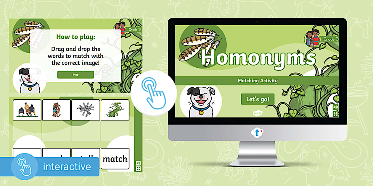 Grade 3 Phonics: Homonyms Interactive Go! Game - Twinkl