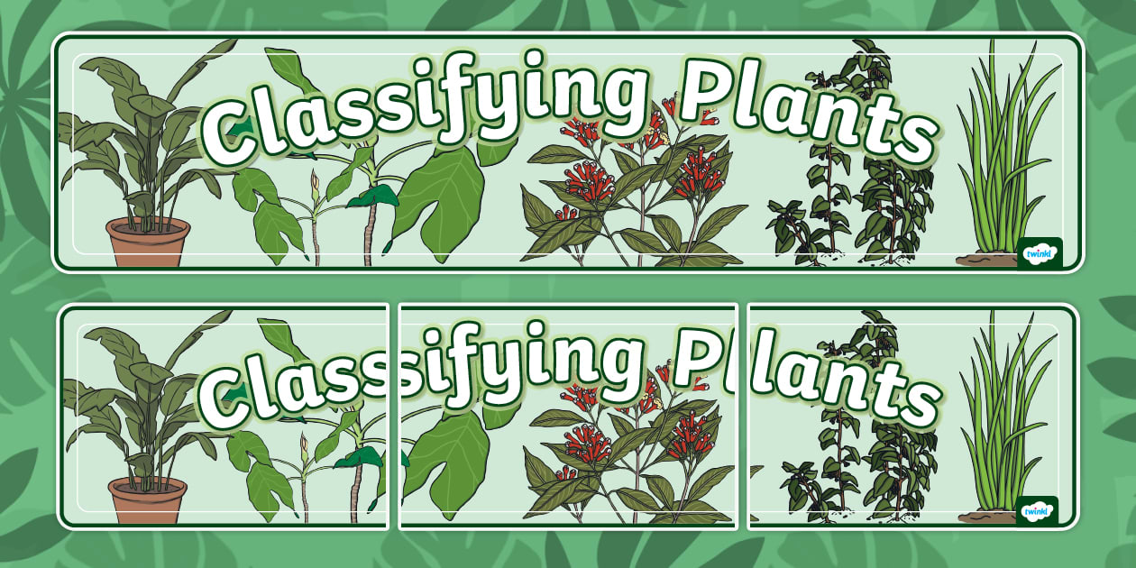 Classifying Plants Display Banner (Teacher-Made) - Twinkl