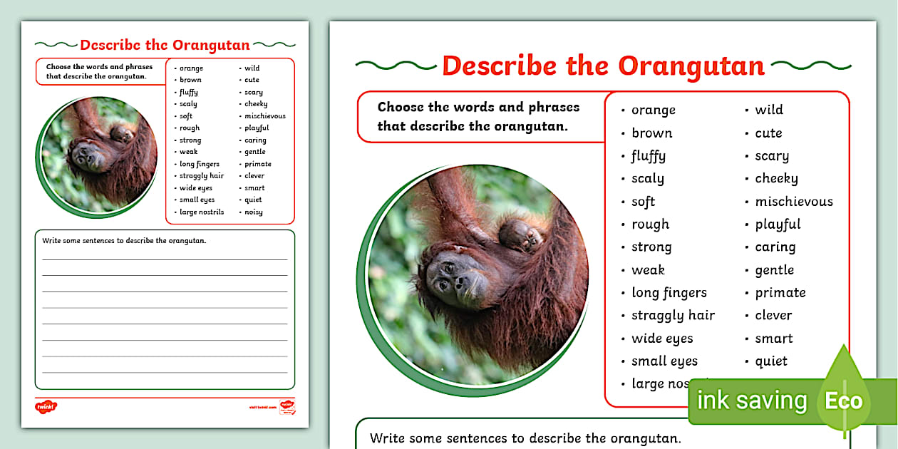 Describe the Orangutan Writing Activity,orangutan,orangutans