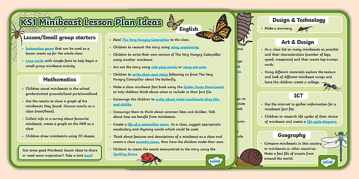 Editable KS1 Minibeast Lesson Plan Ideas - Twinkl