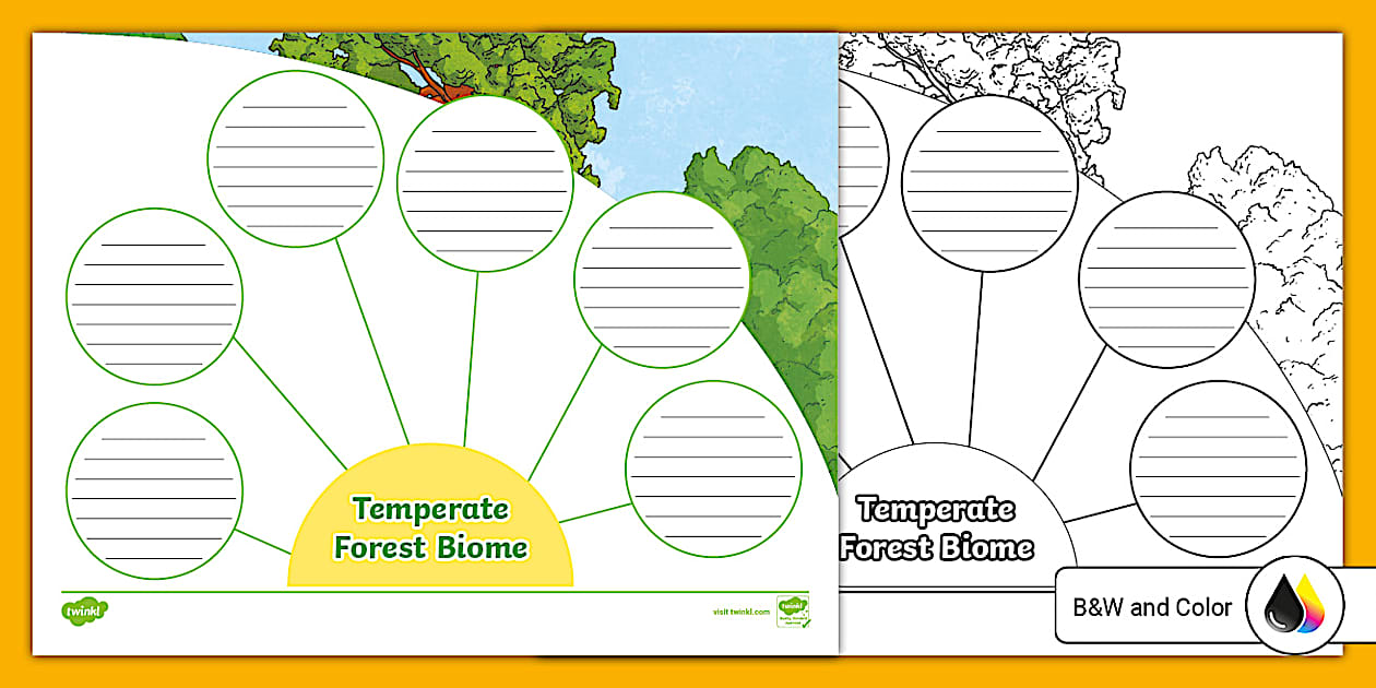 Temperate Forest Biome Mind Map for 3rd-5th Grade - Twinkl