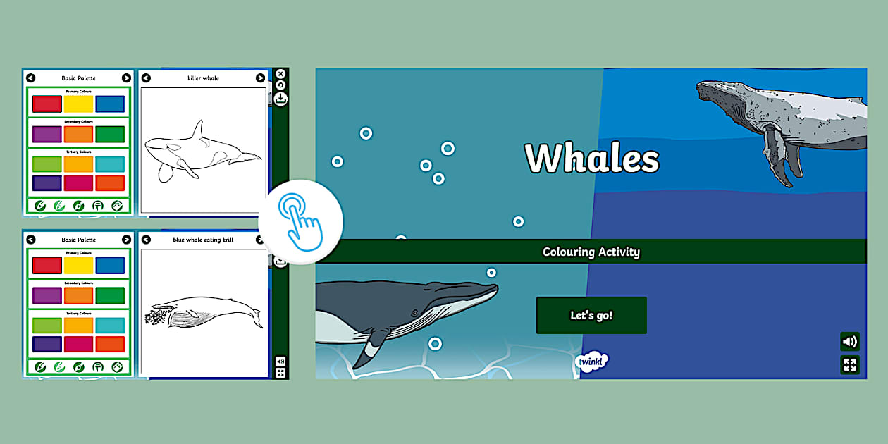 Whales Interactive Colouring (teacher made) - Twinkl