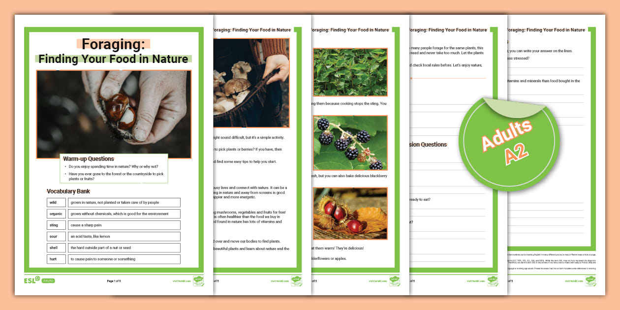 ESL Foraging: Finding Food in Nature – Reading [Adults, A2]