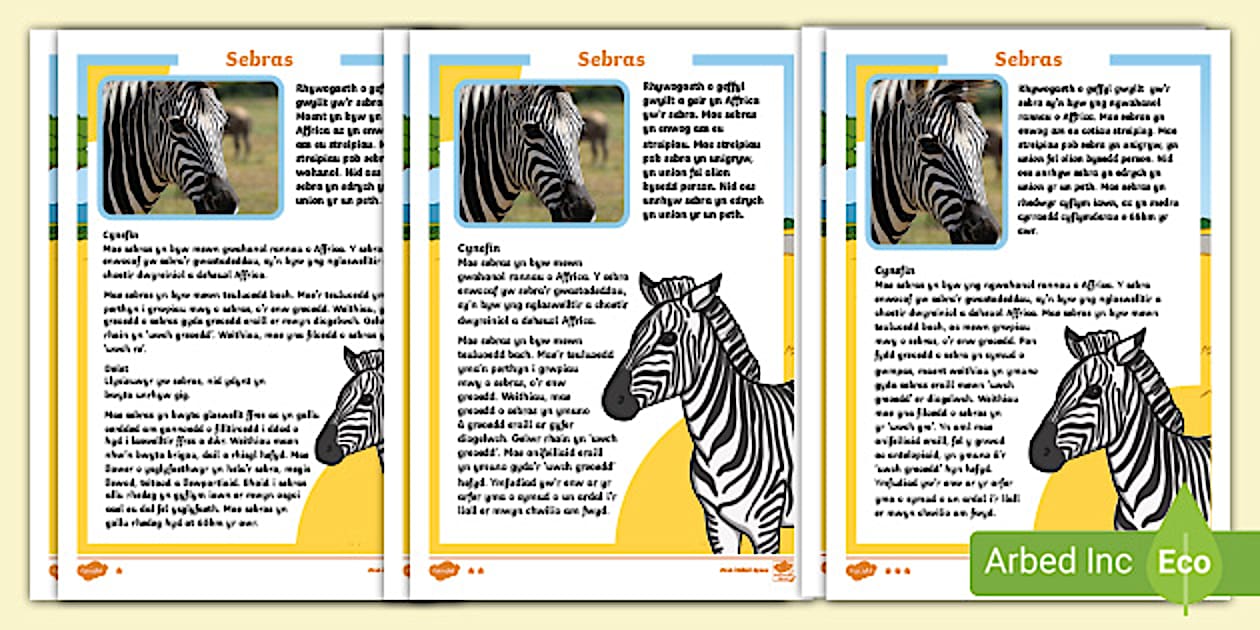 Ffeil Ffeithiau Sebras (Hecho por educadores) - Twinkl