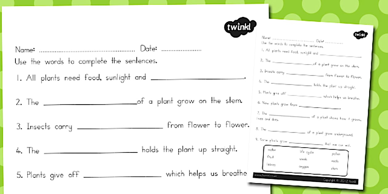 Plant Vocabulary Worksheet