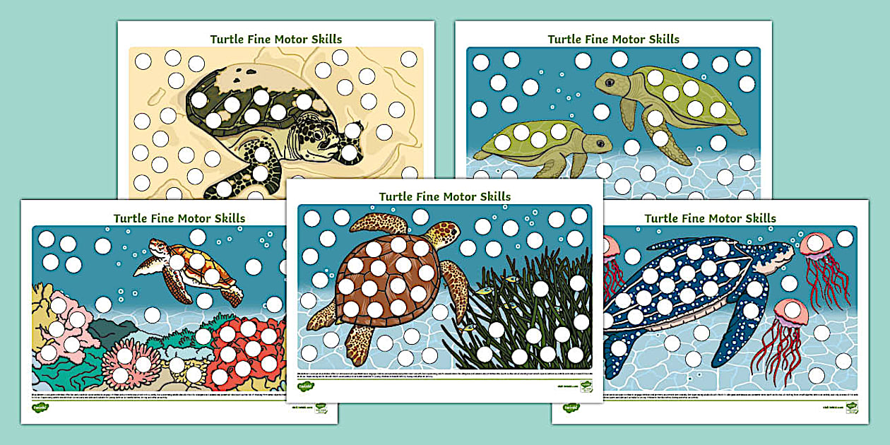 Turtle Fine Motor Skills Button Placing Activity | Twinkl