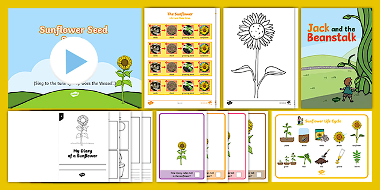 KS1 Sunflower School Resource Pack (teacher made) - Twinkl