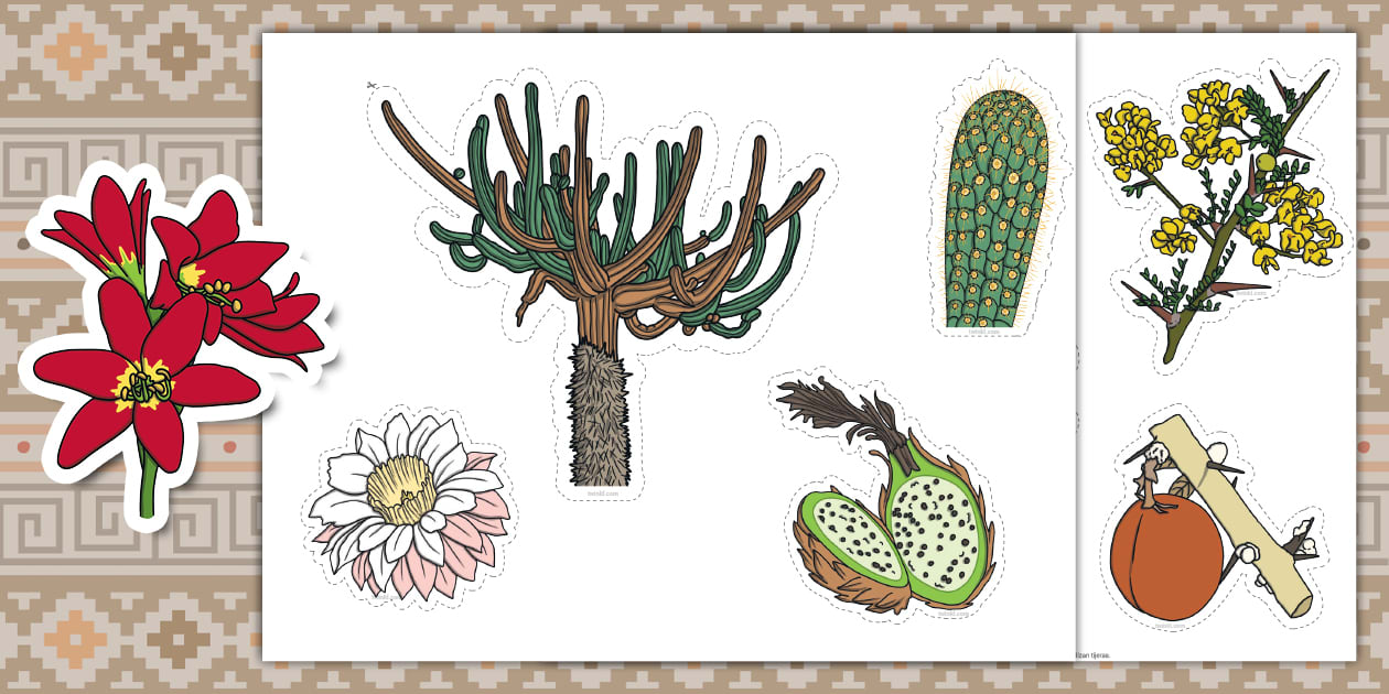 Recortables: Flora Zona Norte (teacher made) - Twinkl