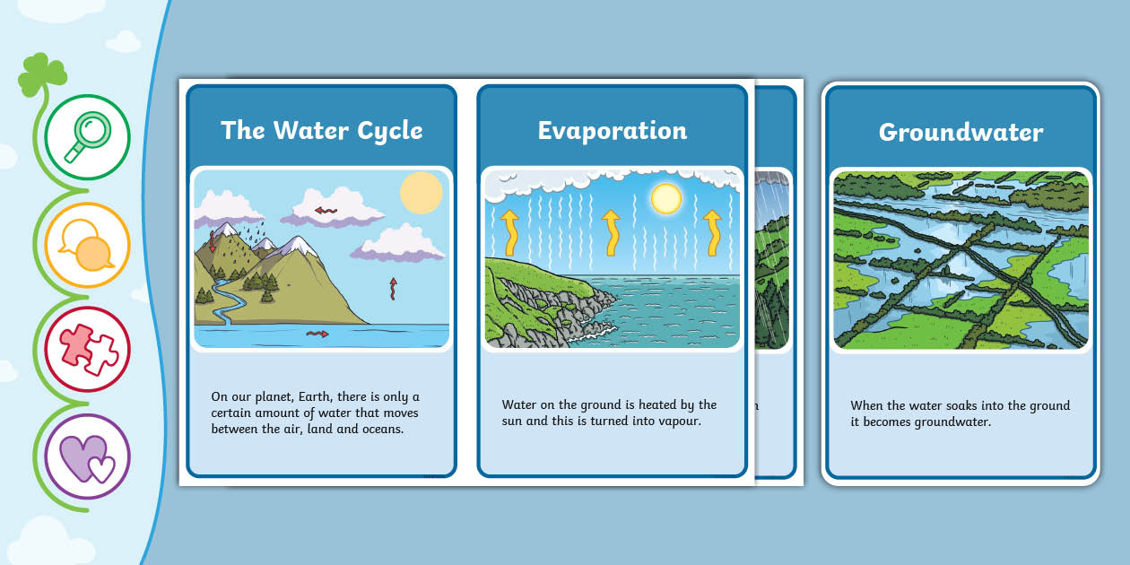 Water Cycle Display Fact Cards (Hecho por educadores)