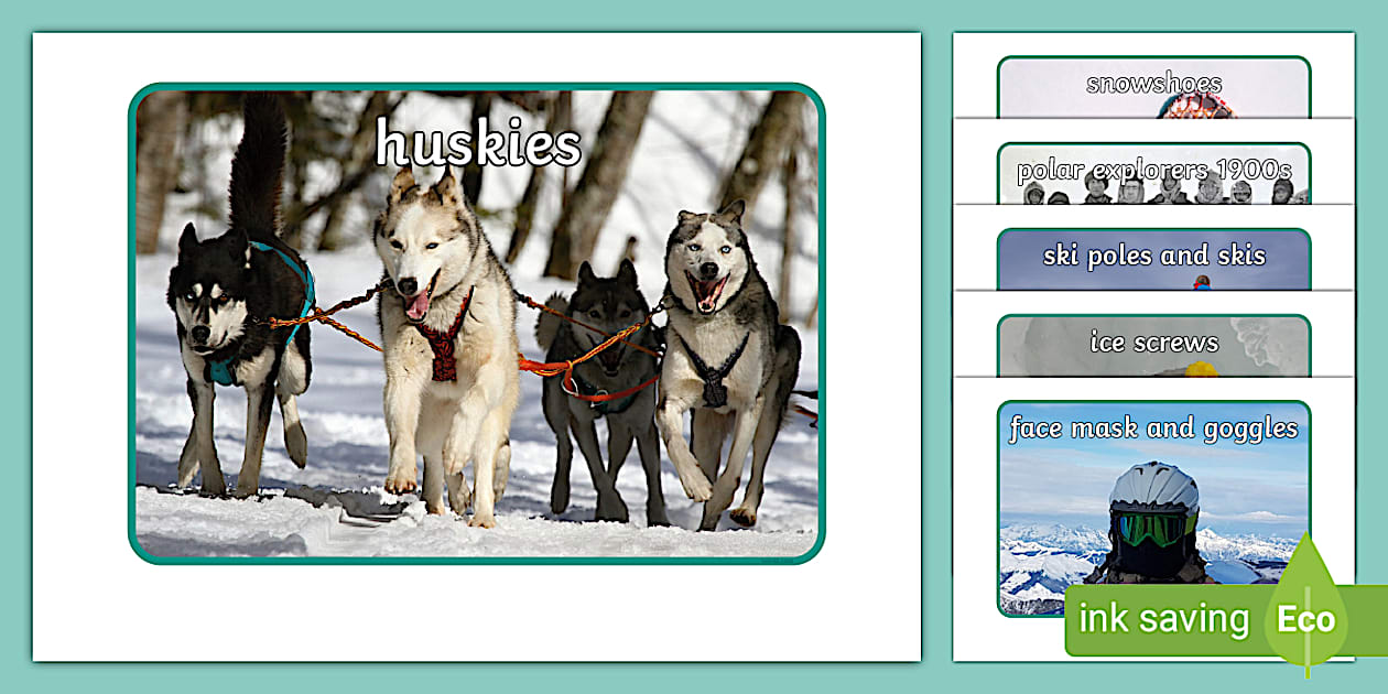 Arctic Explorers Photo Pack - Twinkl - KS1