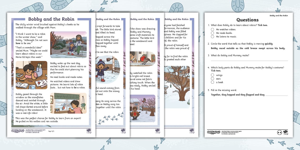 Year 2 Bobby and the Robin Reading Comprehension Activity