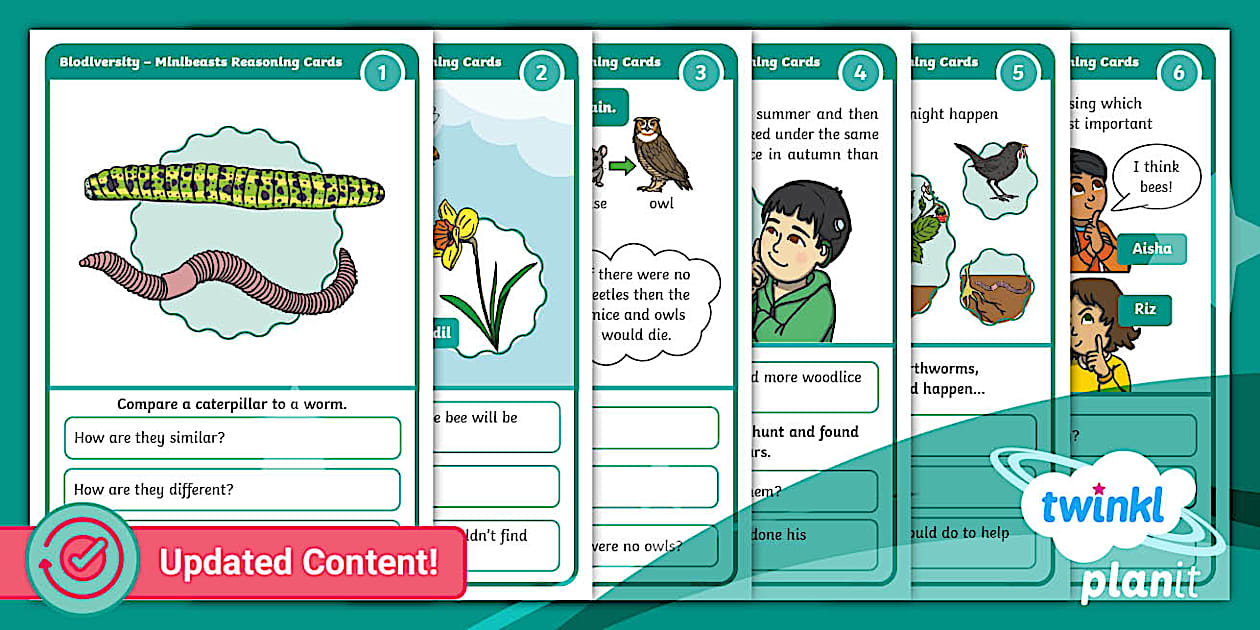 Science: Biodiversity - Minibeasts: Reasoning Cards Year 2