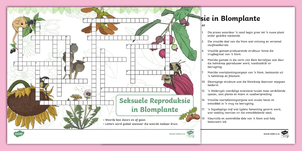 Seksuele Reproduksie in Blomplante Blokkiesraaisel - Twinkl