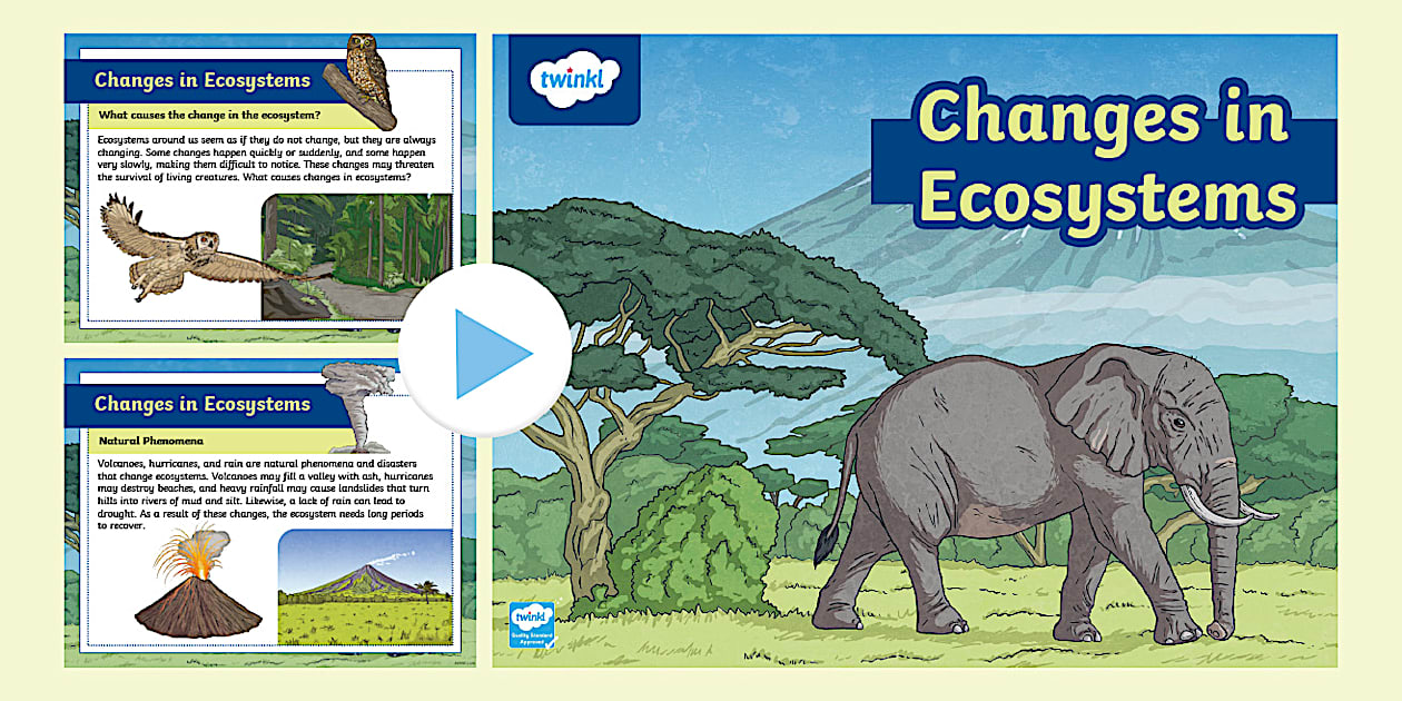 Changes in Ecosystems PowerPoint (Teacher-Made) - Twinkl