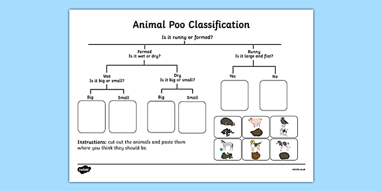 Animal Poo Classification Worksheet - Twinkl