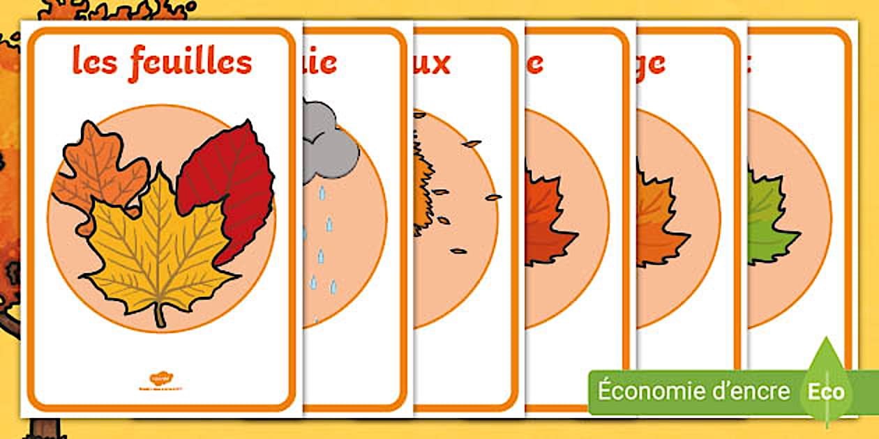 Posters d'affichage : L'automne (teacher made) - Twinkl