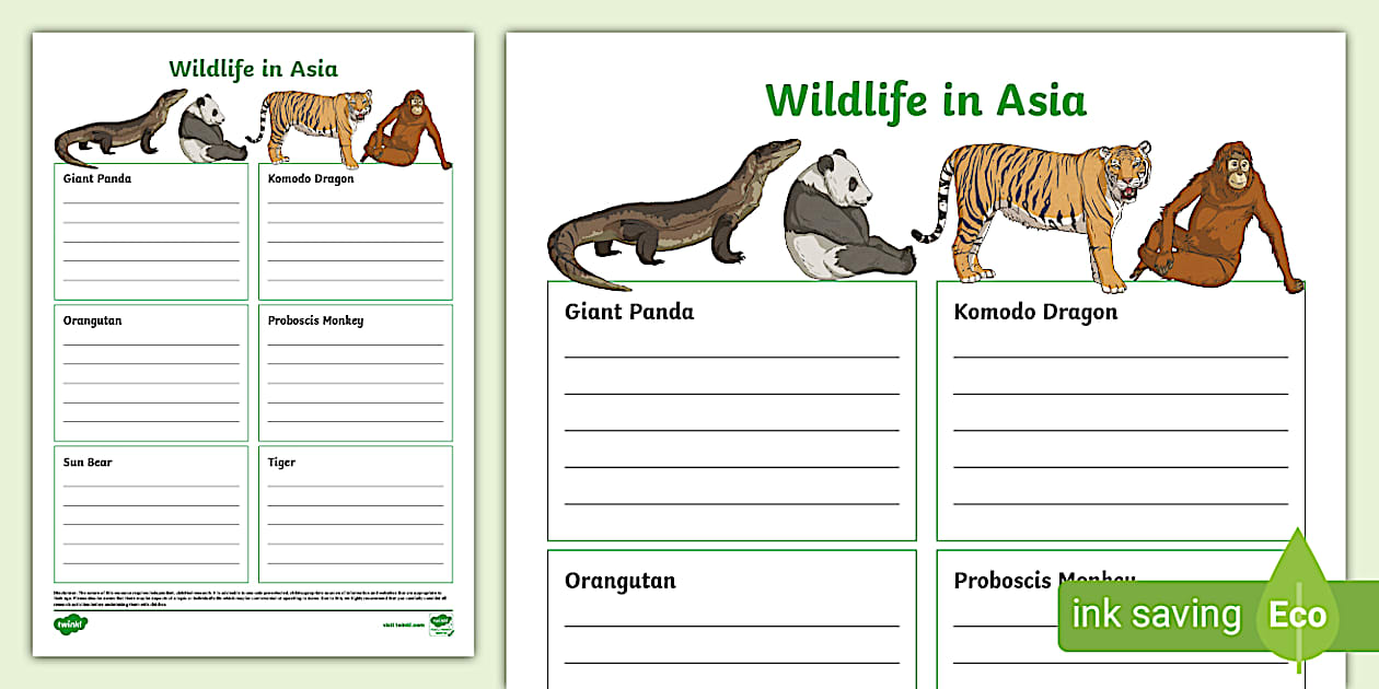 Wildlife in Asia Fact File Template (profesor hizo) - Twinkl