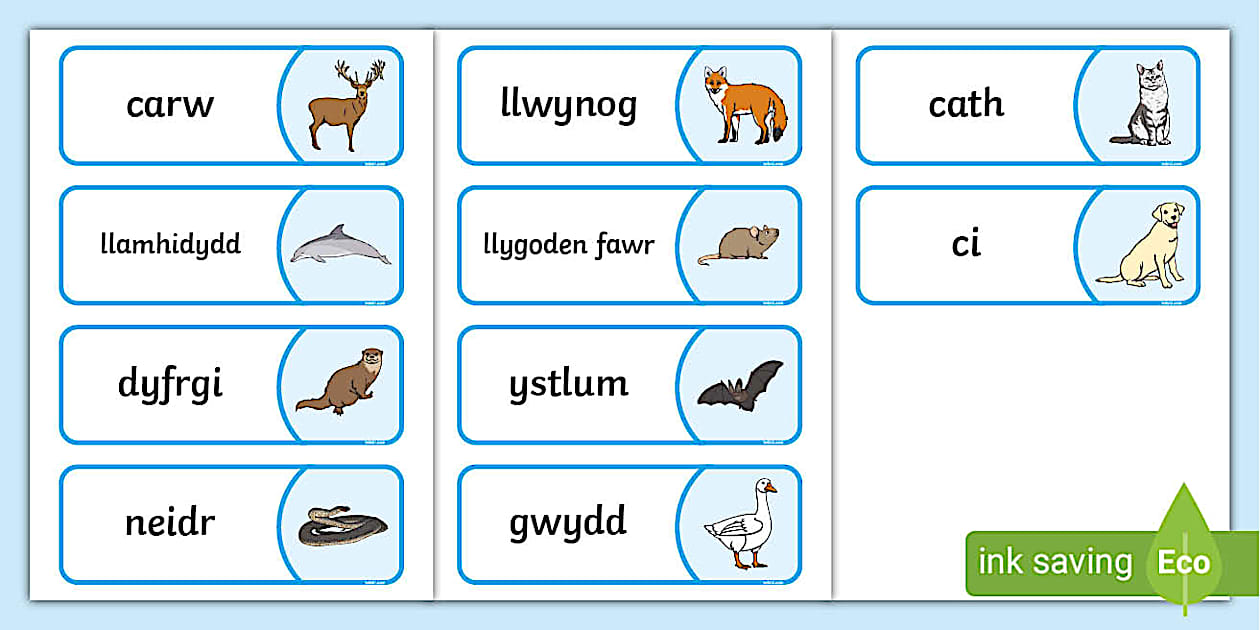 Beautifully illustrated Animals in Welsh Word Cards