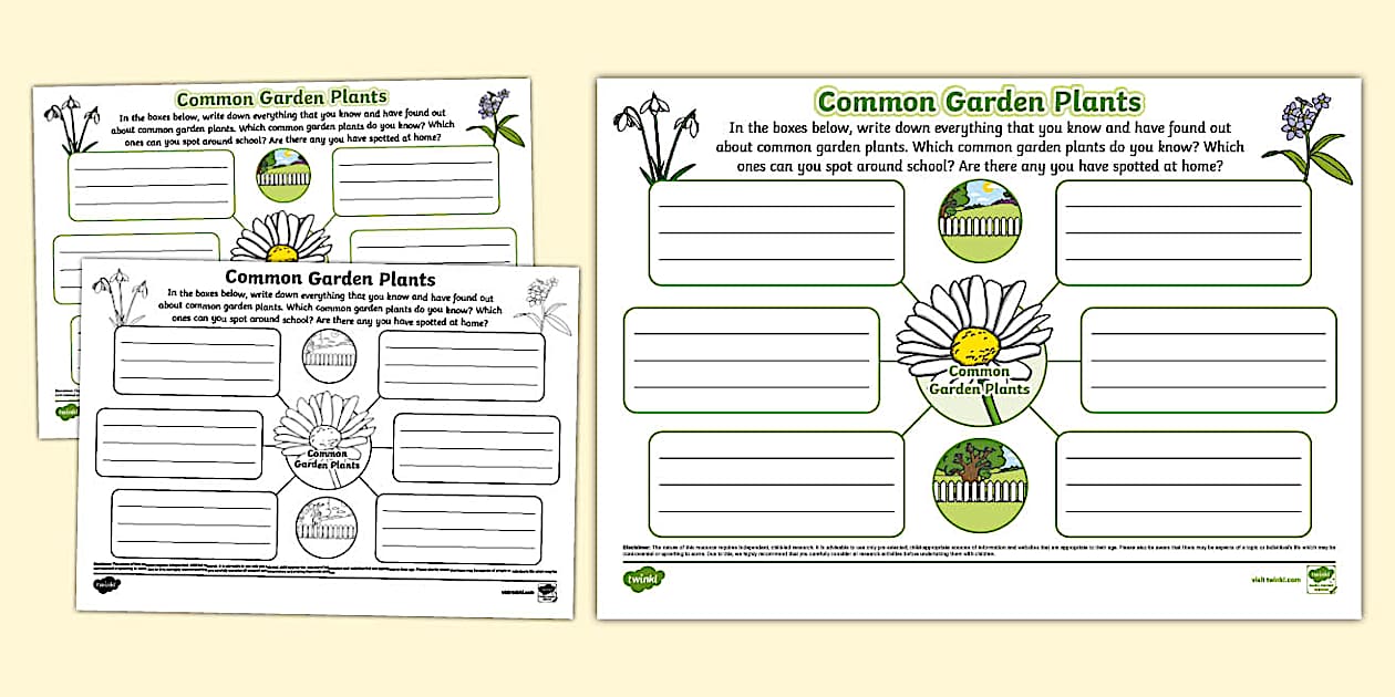 Common Garden Plants Mind Map (teacher made) - Twinkl