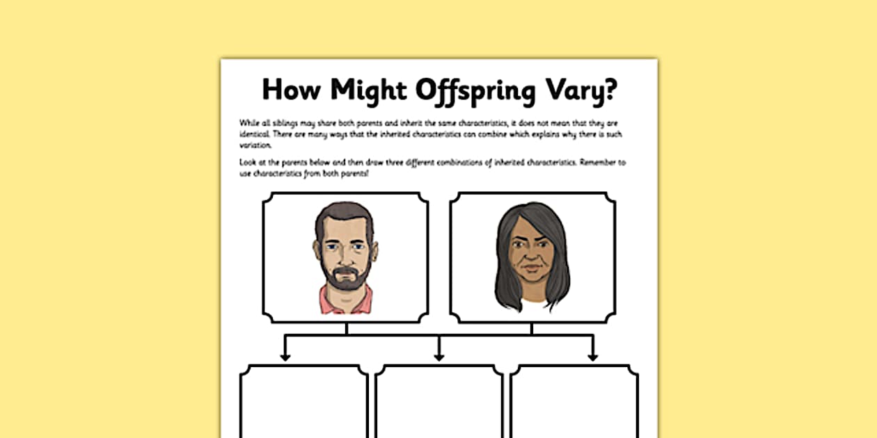 How Offspring Might Vary Worksheet / Worksheet - Twinkl