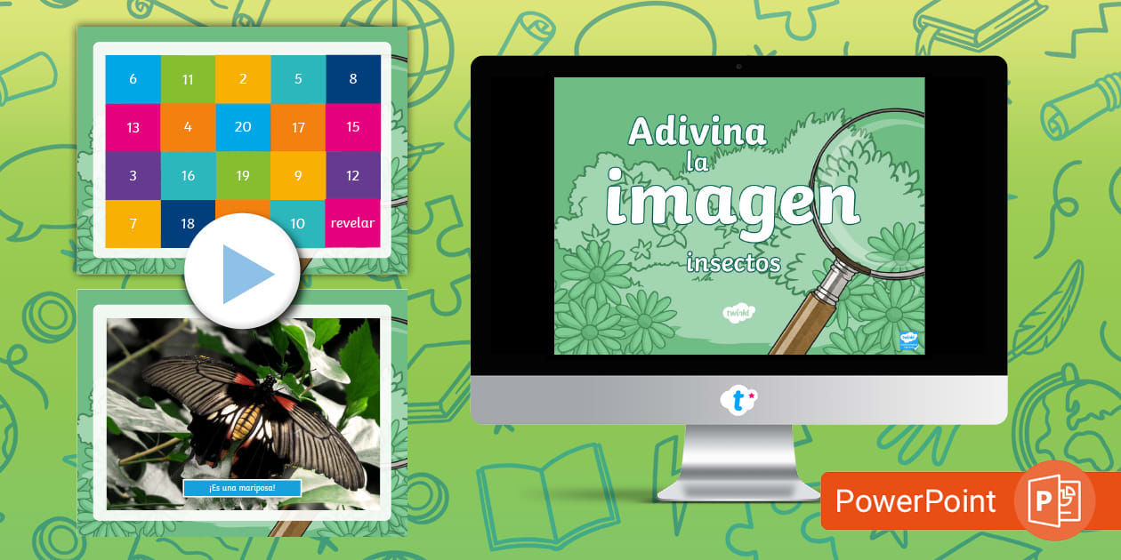 Adivina la imagen: Insectos (Lehrer gemacht) - Twinkl