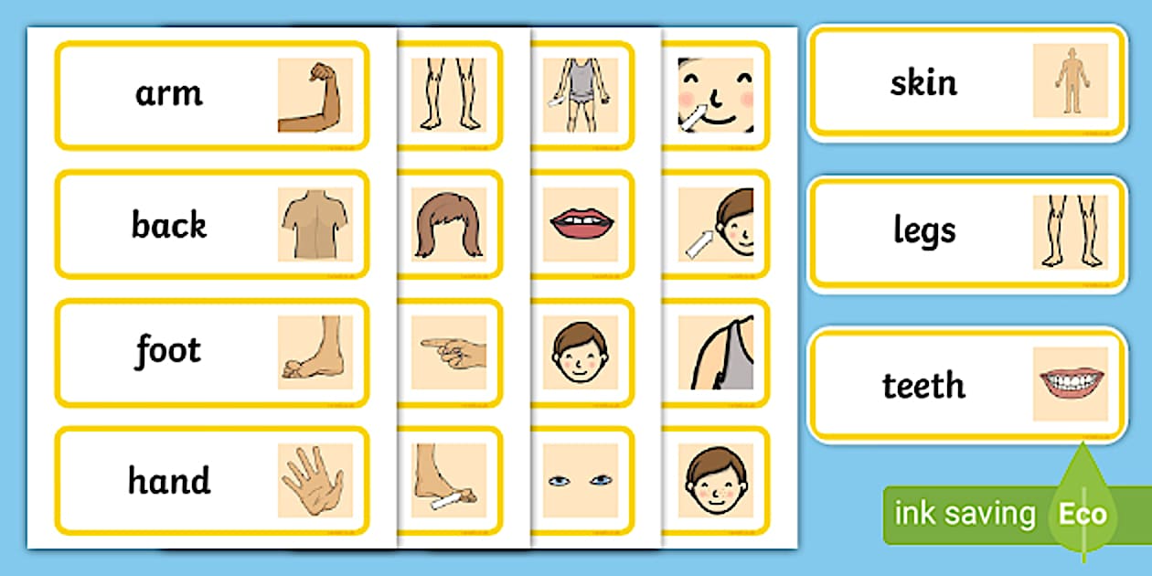Parts of the Body Topic Word Cards - ESL Body Parts Vocabulary