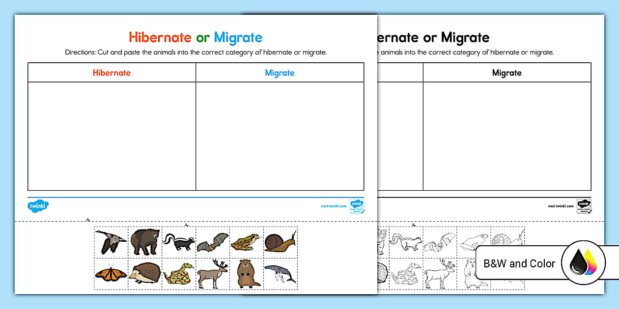 Hibernate or Migrate Cut and Stick Worksheet for K-2nd Grade