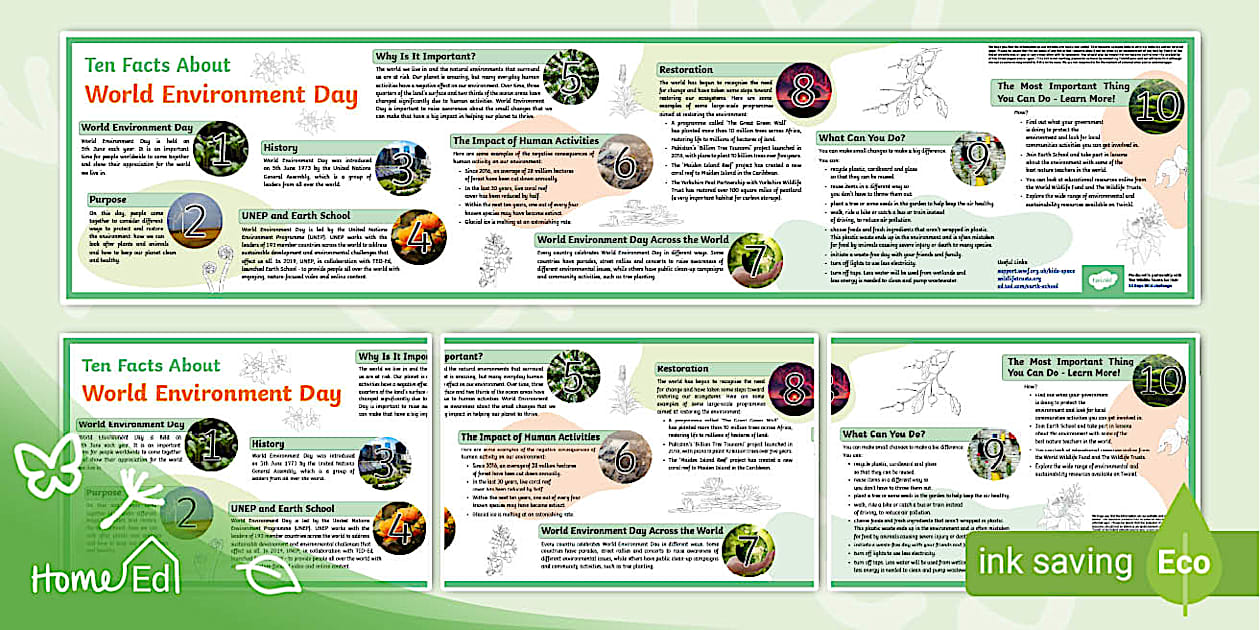 World Environment Day Facts - 30 Days Wild (teacher made)
