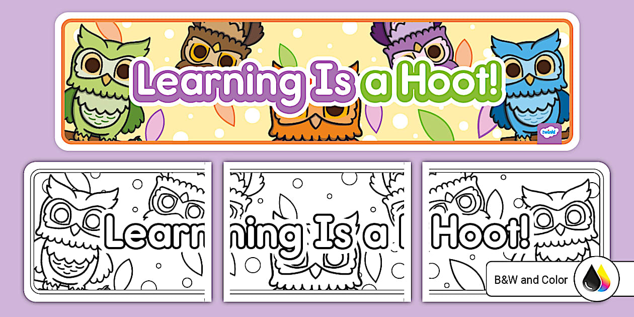 Learning Is a Hoot! Adorable Owl Theme Banner