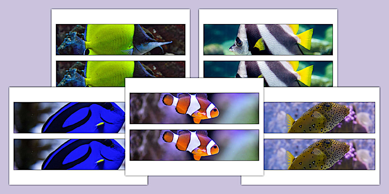 Tropical Fish Role-Play Photo Headbands - Twink - KS1
