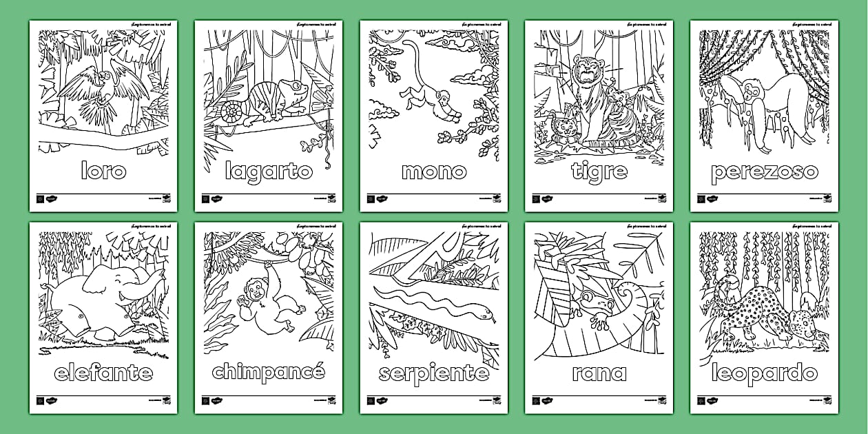 Hojas de colorear: ¡Exploremos la selva! (teacher made)