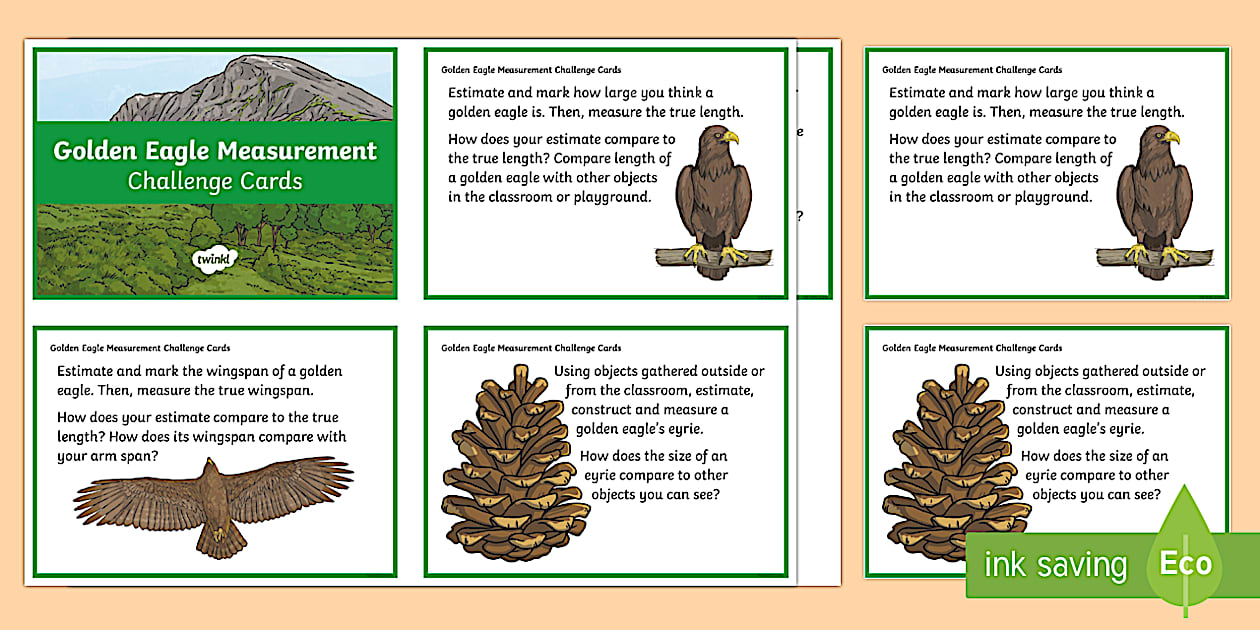 Golden Eagle Facts - Measuring Challenge Cards - Twinkl