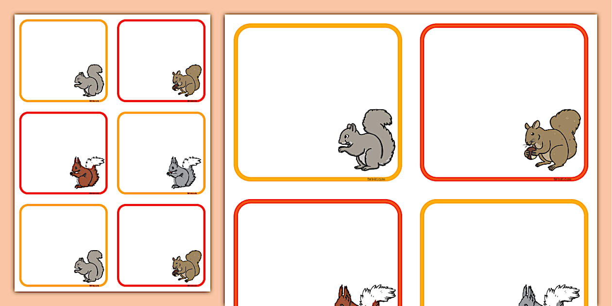 Squirrel Peg Labels - (teacher made) - Twinkl