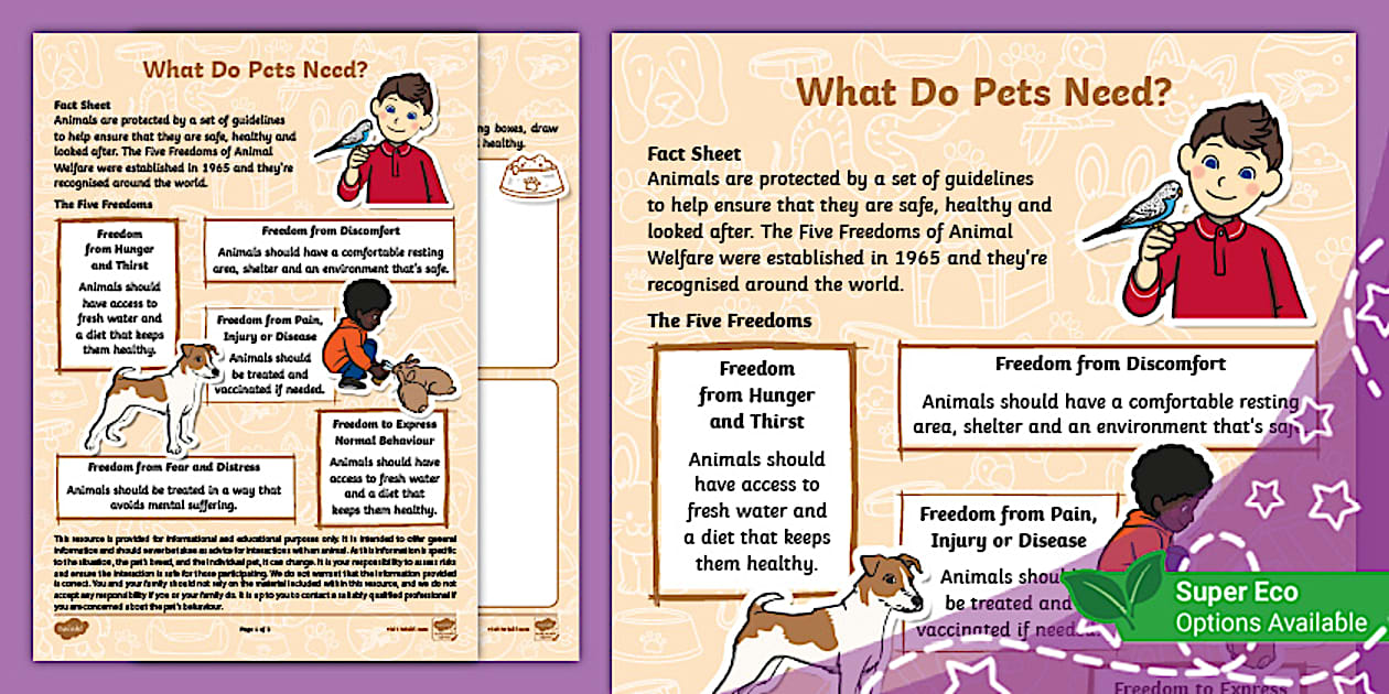What Do Pets Need? Fact and Activity Sheet (teacher made)