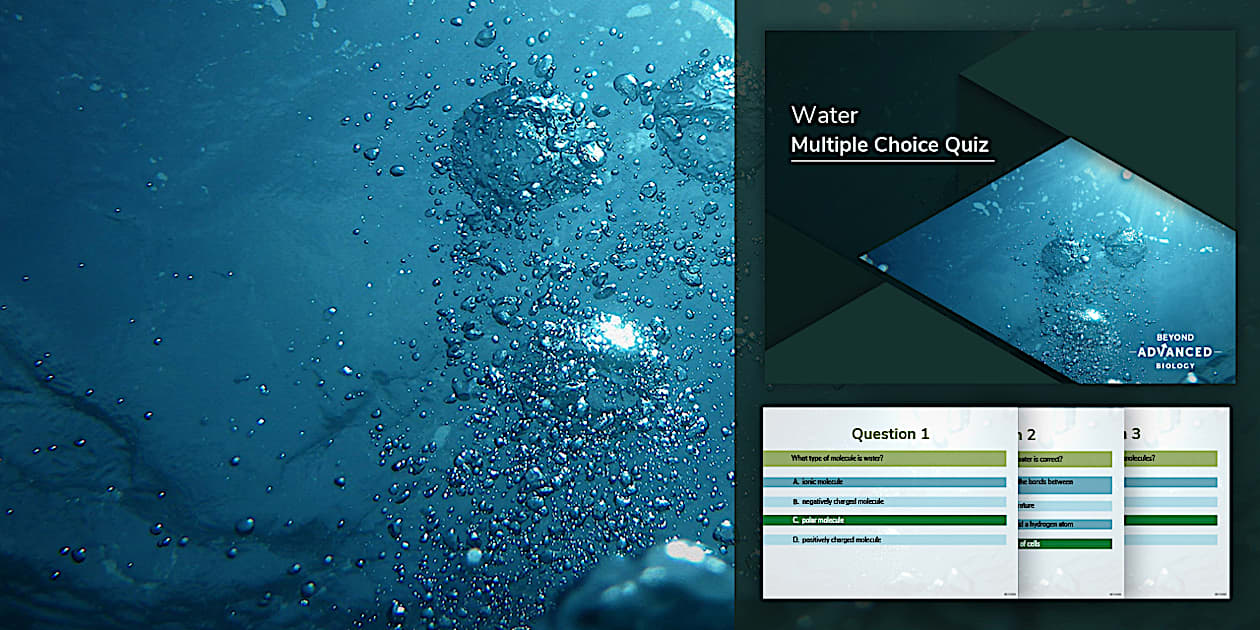 A Level Biology Water Multiple Choice Quiz | Beyond - Twinkl