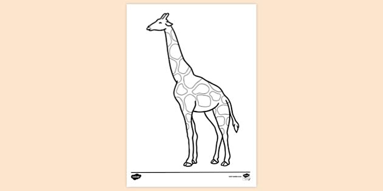 Giraffe Colouring | Colouring Pages for Kids | Twinkl