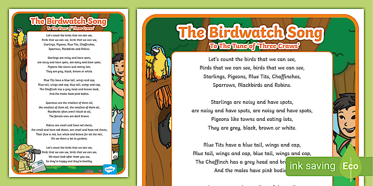 The Birdwatch Song Display Poster (Teacher-Made) - Twinkl