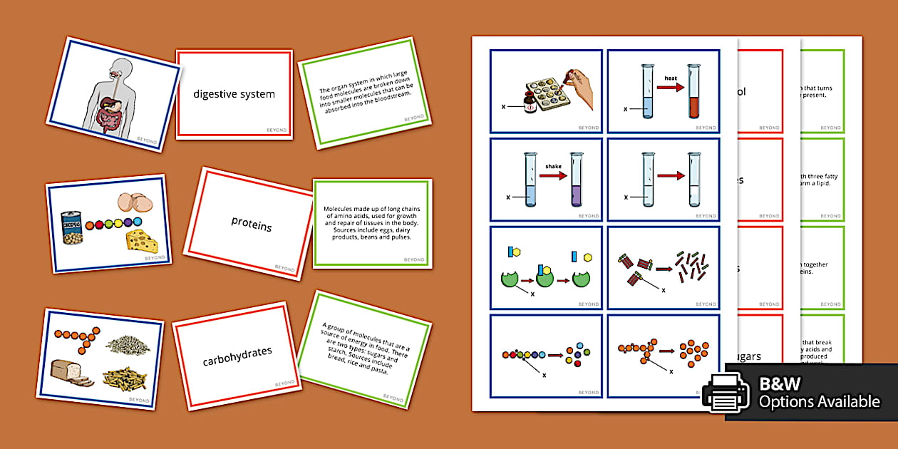 Food Tests Card Sort (Teacher-Made) - Twinkl