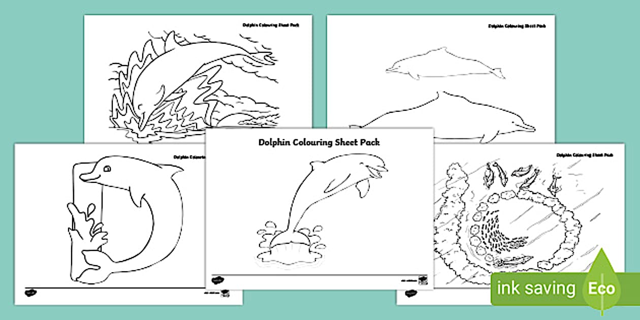 Dolphin Template Resource Pack | Colouring Pages - Twinkl