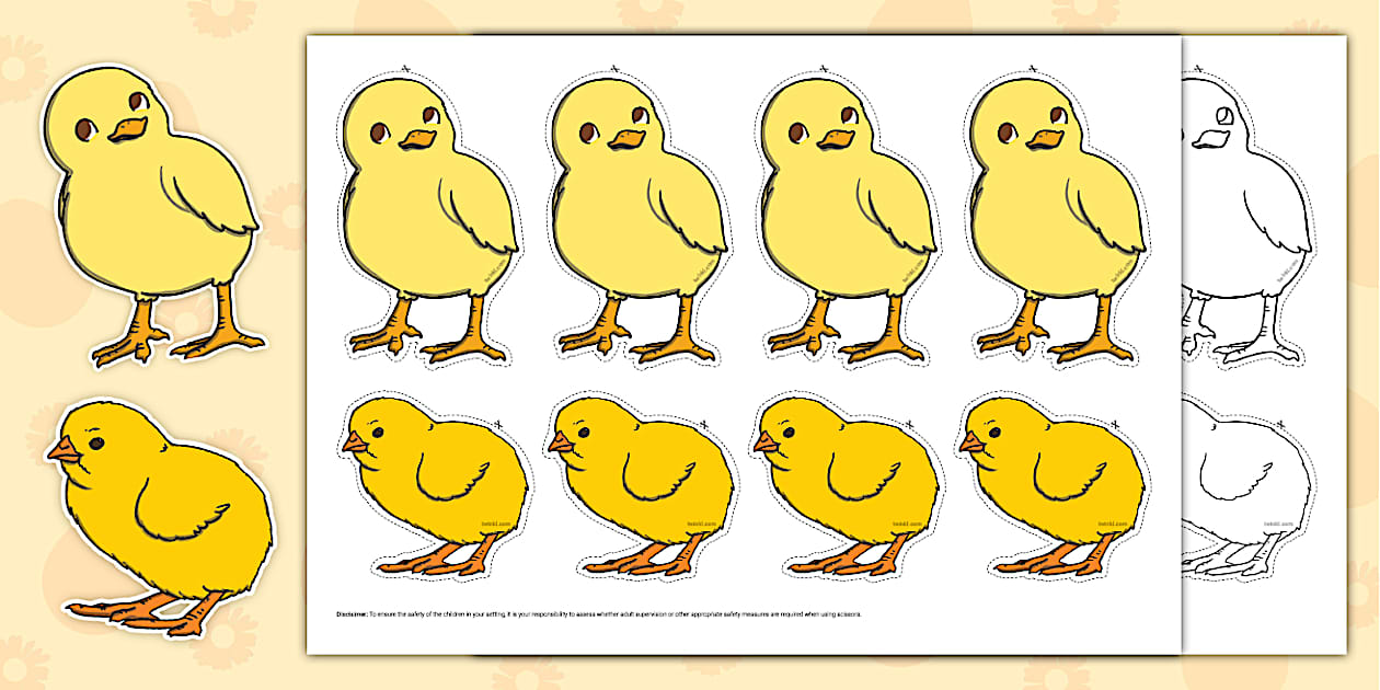 Small Chick Display Cut-Outs (teacher made) - Twinkl