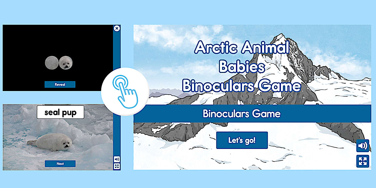 Arctic Animal Babies Interactive Binoculars Game - Twinkl