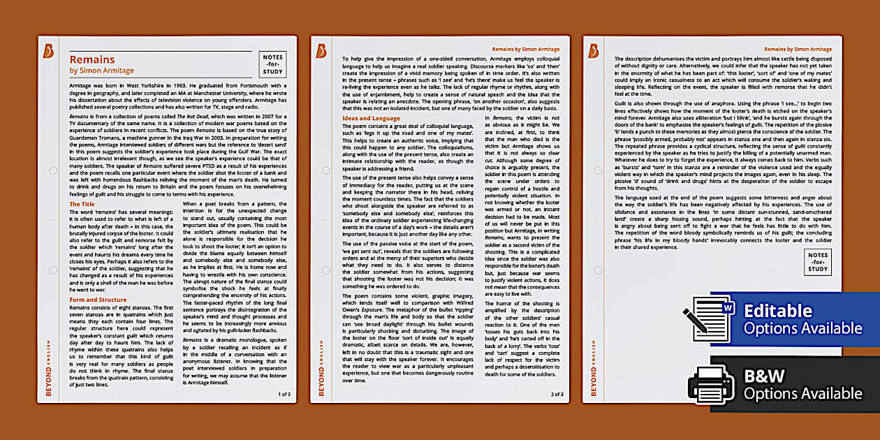 Remains by Simon Armitage | AQA Poetry Notes | GCSE English