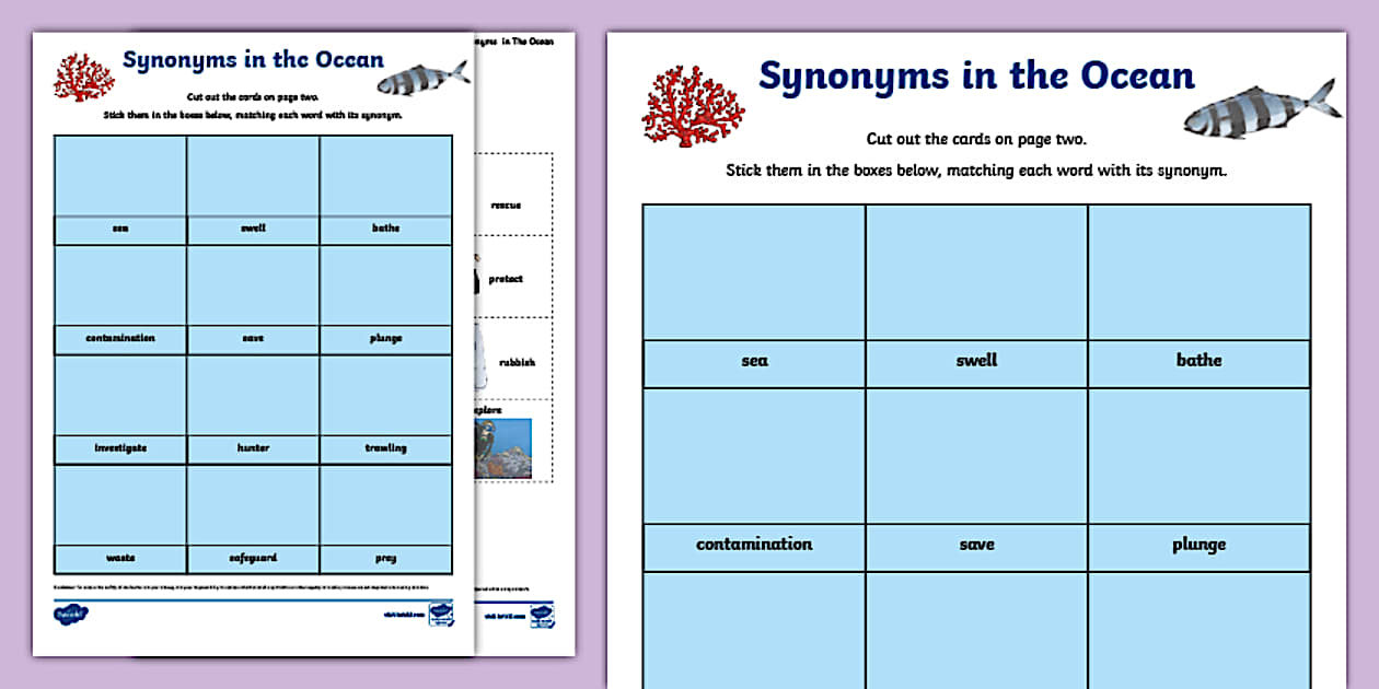 A Place for Plastic: Synonyms for Ocean - KS2 (teacher made)